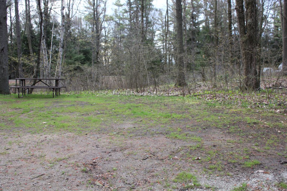 Campsite 045 in Point Beach State Forest Campground at Point Beach ...