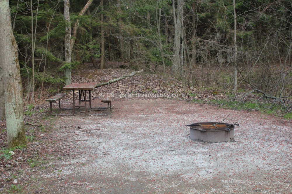 Campsite 050 in Point Beach State Forest Campground at Point Beach ...