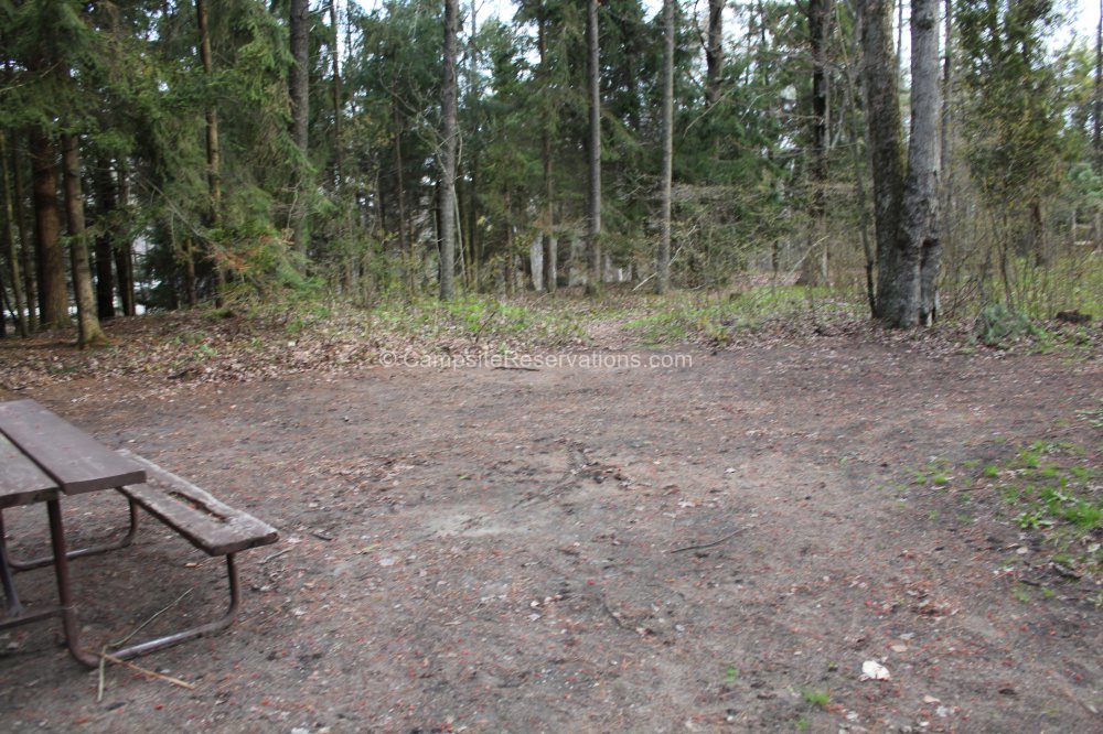 Campsite 060 in Point Beach State Forest Campground at Point Beach ...