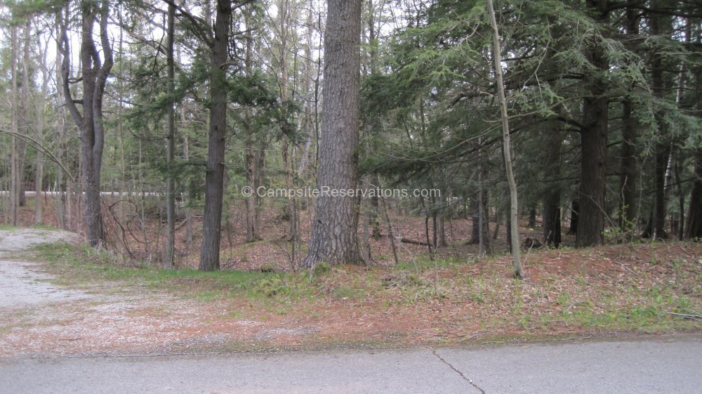 Campsite 110 in Point Beach State Forest Campground at Point Beach ...