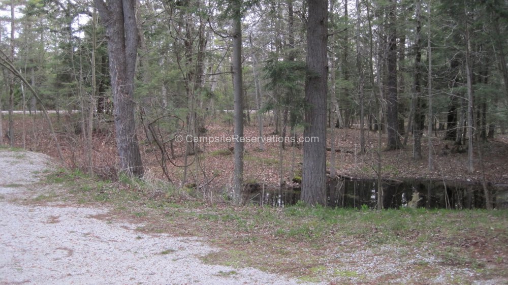 Campsite 110 in Point Beach State Forest Campground at Point Beach ...