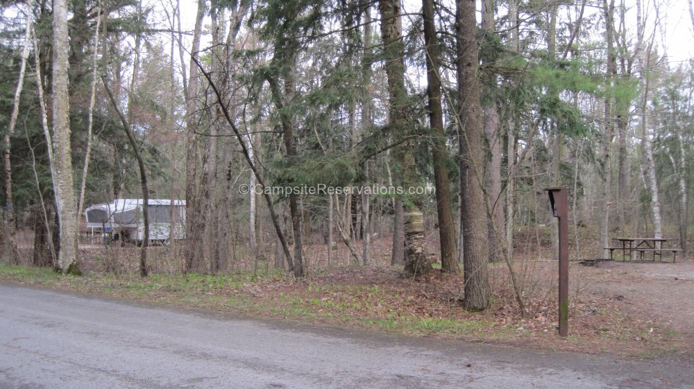 Campsite 113 in Point Beach State Forest Campground at Point Beach ...
