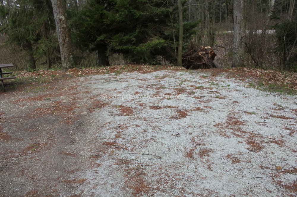 Campsite 124 in Point Beach State Forest Campground at Point Beach ...